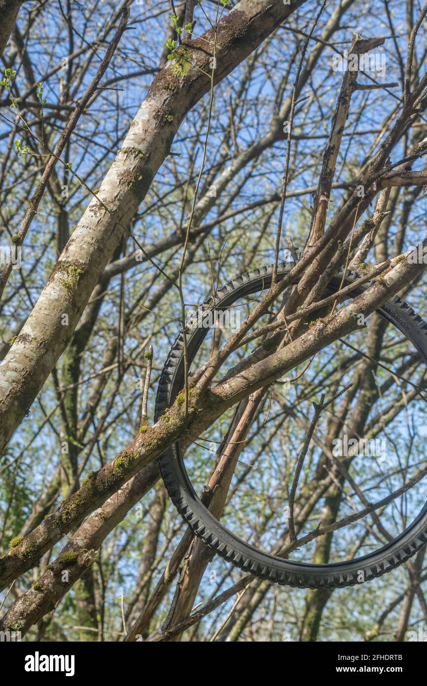 Old cycle tyre / bicycle tire dumped in woodland where the tyre has ...