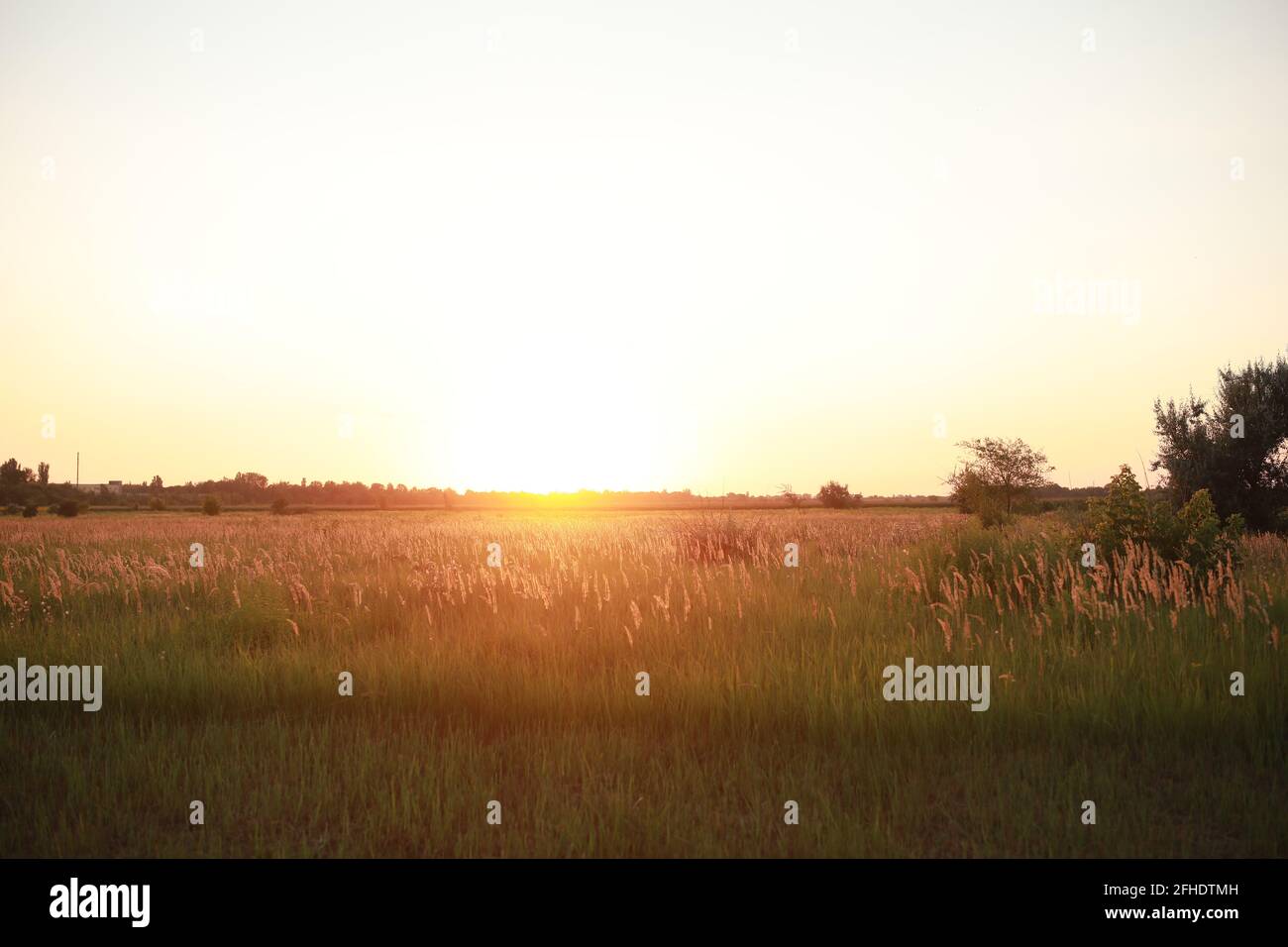 gorgeous sunset on a huge field in the countryside Stock Photo - Alamy