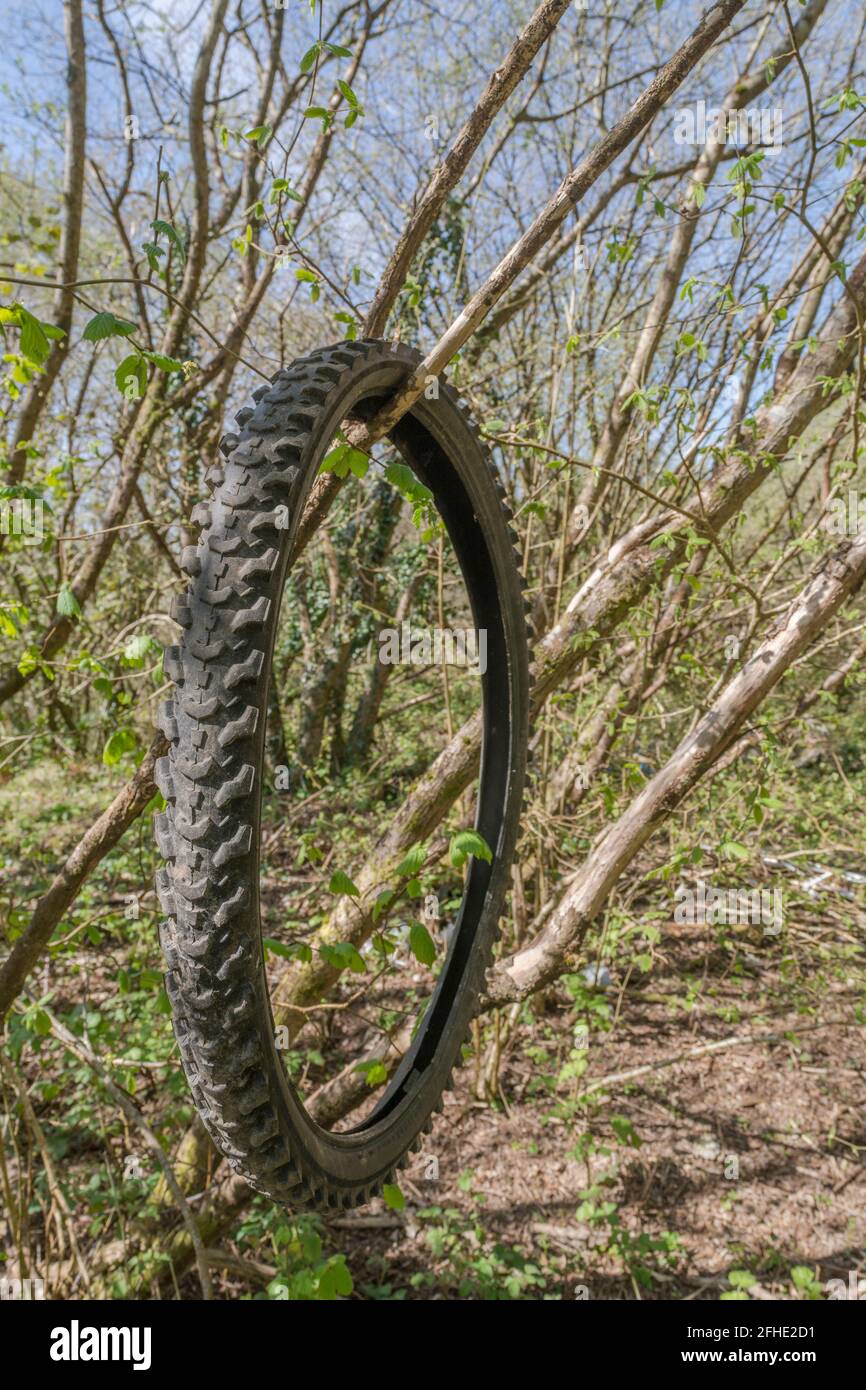 Old cycle tyre / bicycle tire dumped in woodland where the tyre has ...
