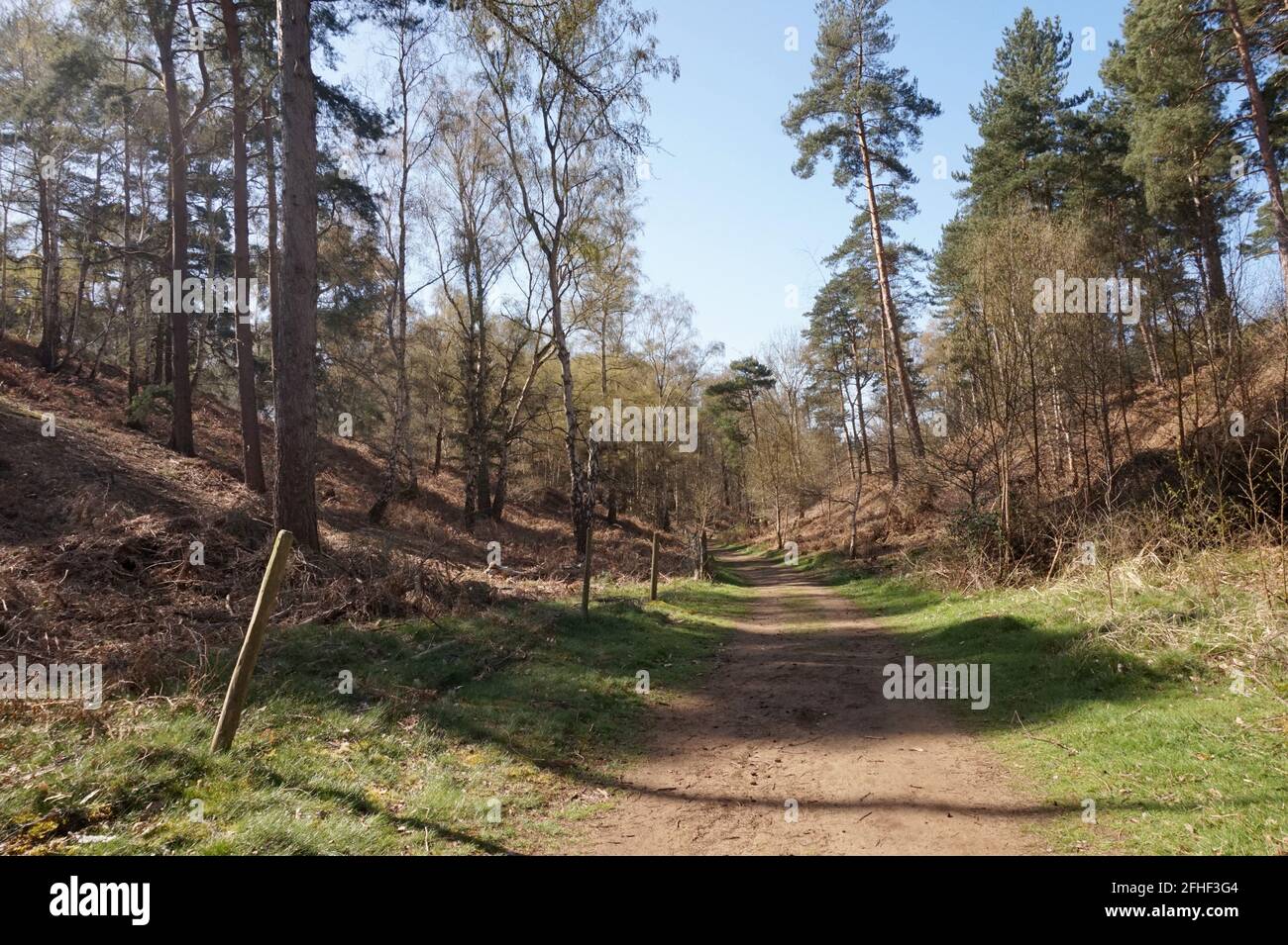 The Lodge, RSPB Nature Reserve, Sandy, Bedfordshire Stock Photo - Alamy