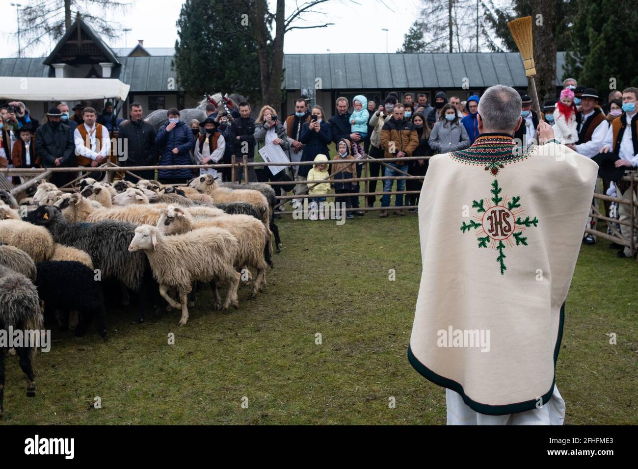 A priest is seen in a corral while blessing the sheep with holy water ...