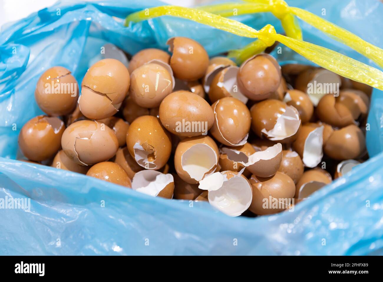 Closeup heap of chicken eggshell fragments in blue plastic bag, waste ...