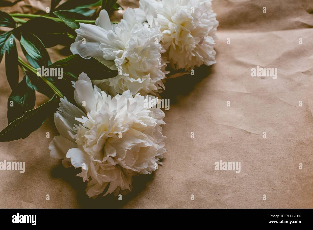 White peonies pattern on craft paper background with copy space Stock ...