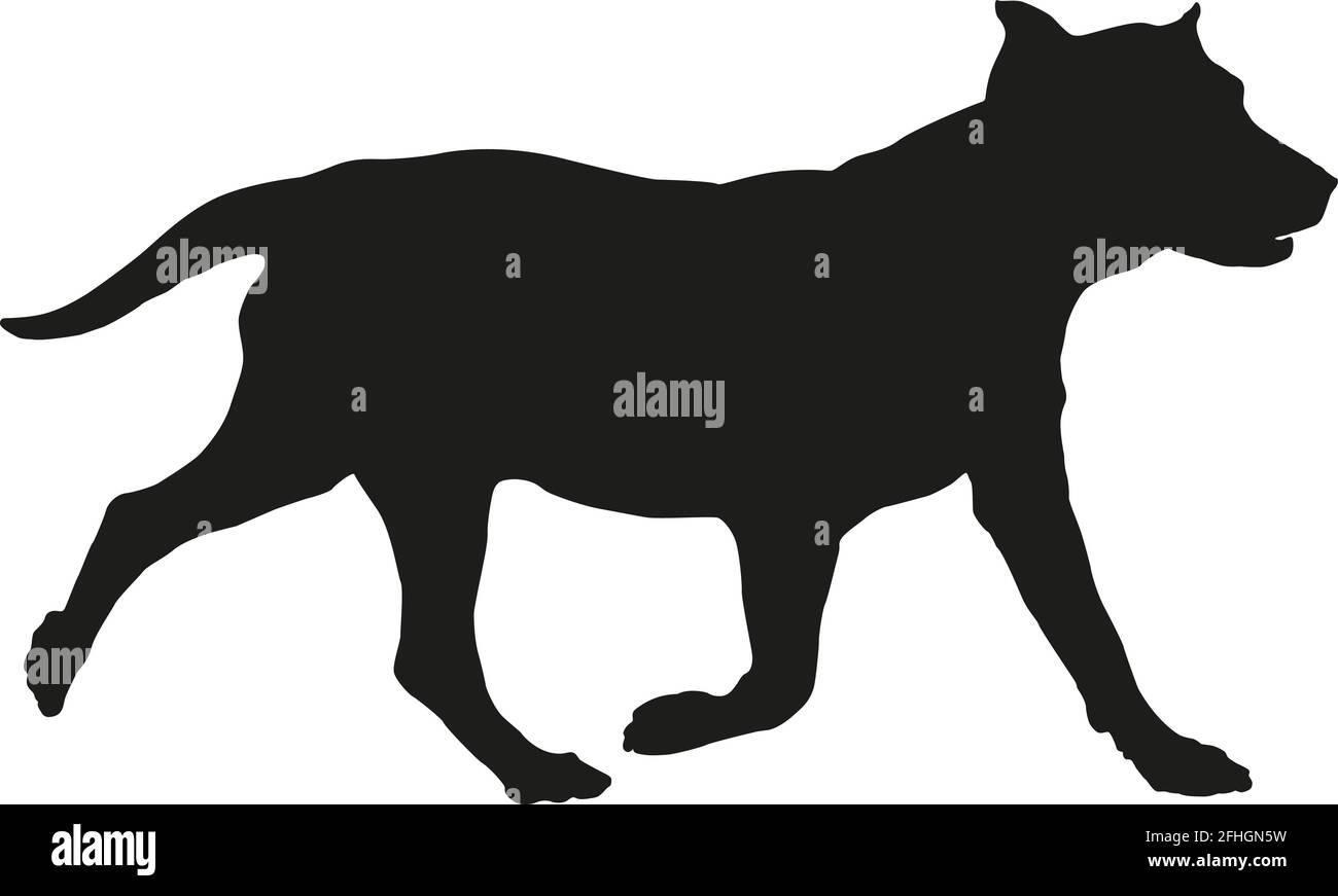 Running labrador retriever puppy Stock Vector Images - Alamy