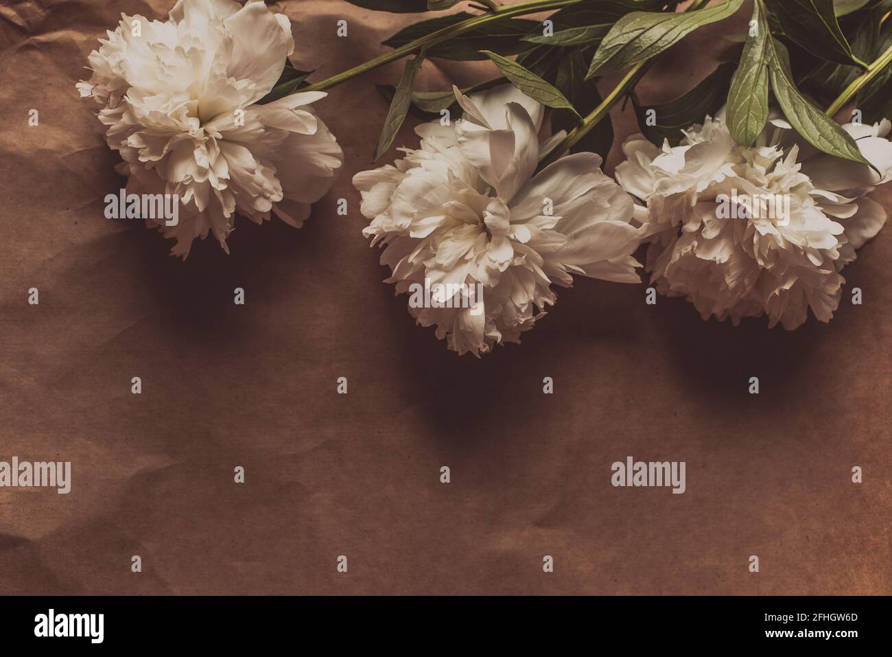 White peonies pattern on craft paper background with copy space Stock ...
