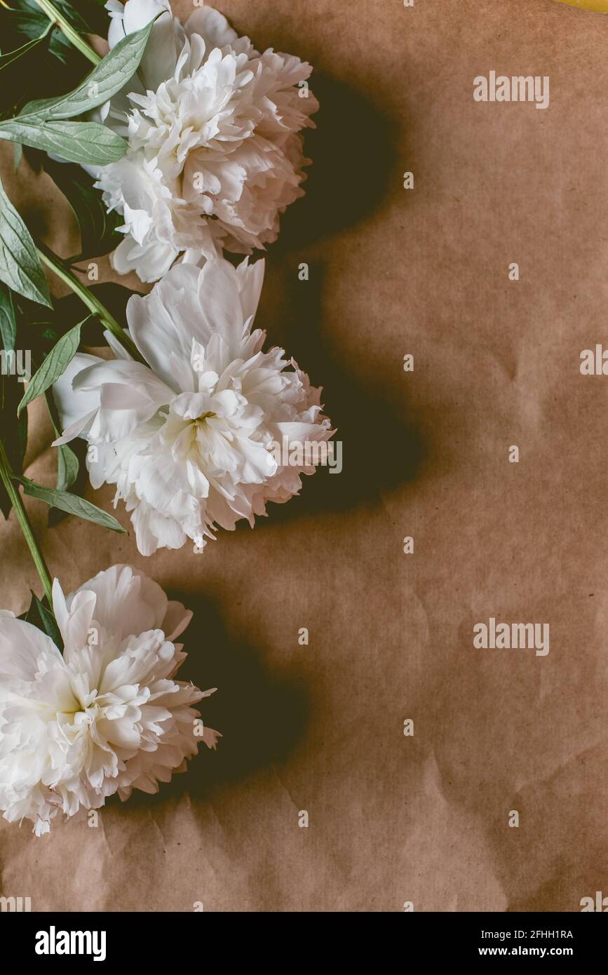 White peonies pattern on craft paper background with copy space Stock ...