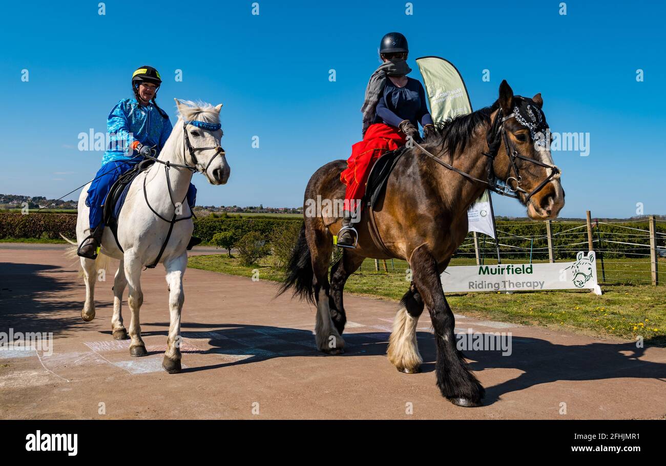 Arabian horse cross hi-res stock photography and images - Alamy