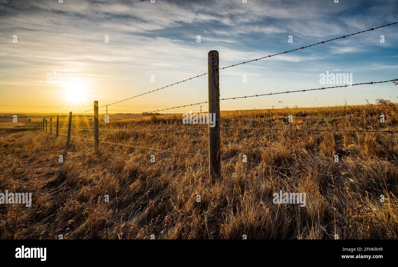 Grassland grazing fence hi-res stock photography and images - Alamy
