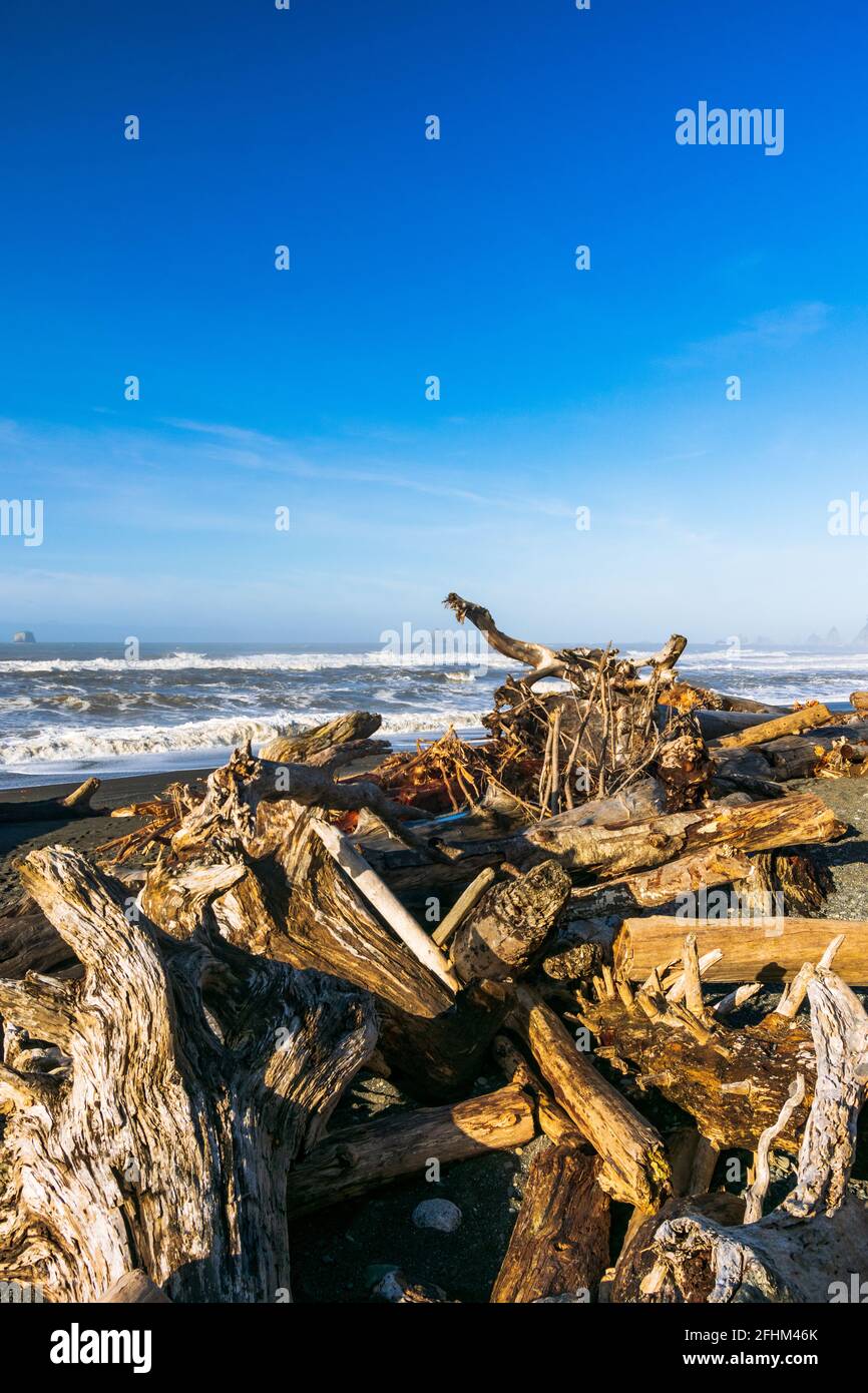 Rialto Beach, Mora Area, Olympic National Park, Washington Stock Photo ...