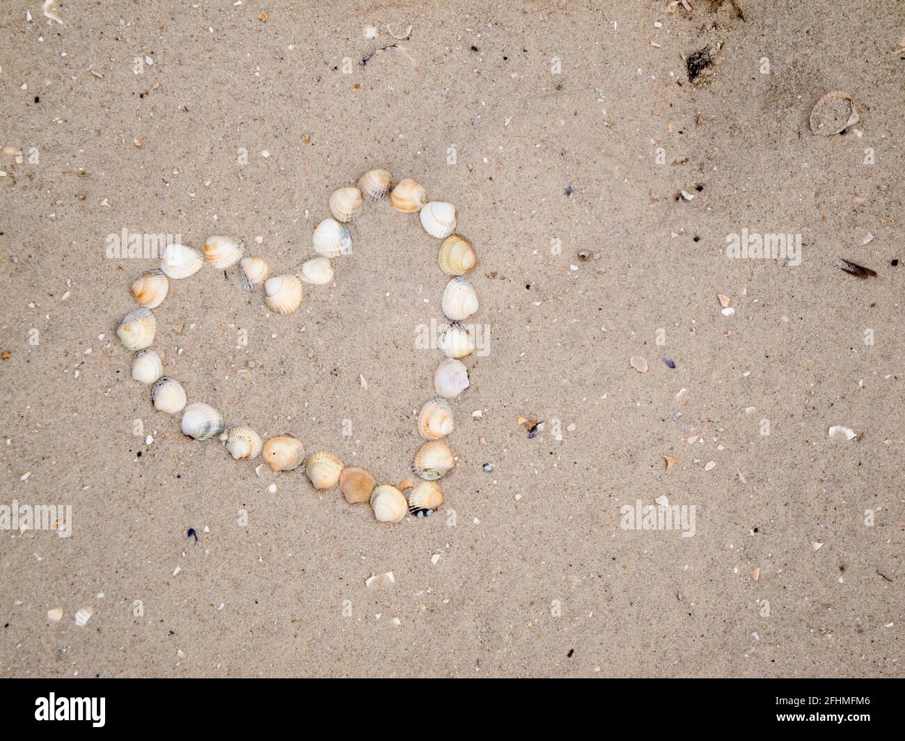 Heart formed from mussel shells on the North Sea beach on sand Stock ...