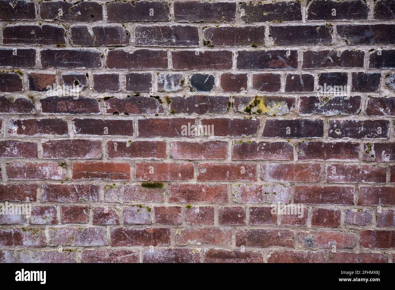 Distressed Brick Distressed Brick By Superfresco Easy Navy/Red