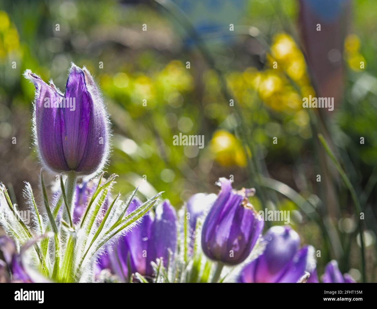 The power of nature Stock Photo - Alamy