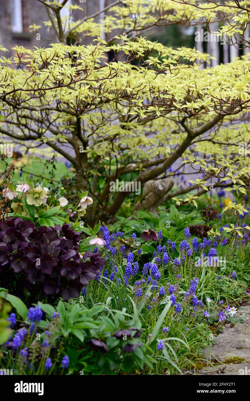 Underplant hi-res stock photography and images - Alamy