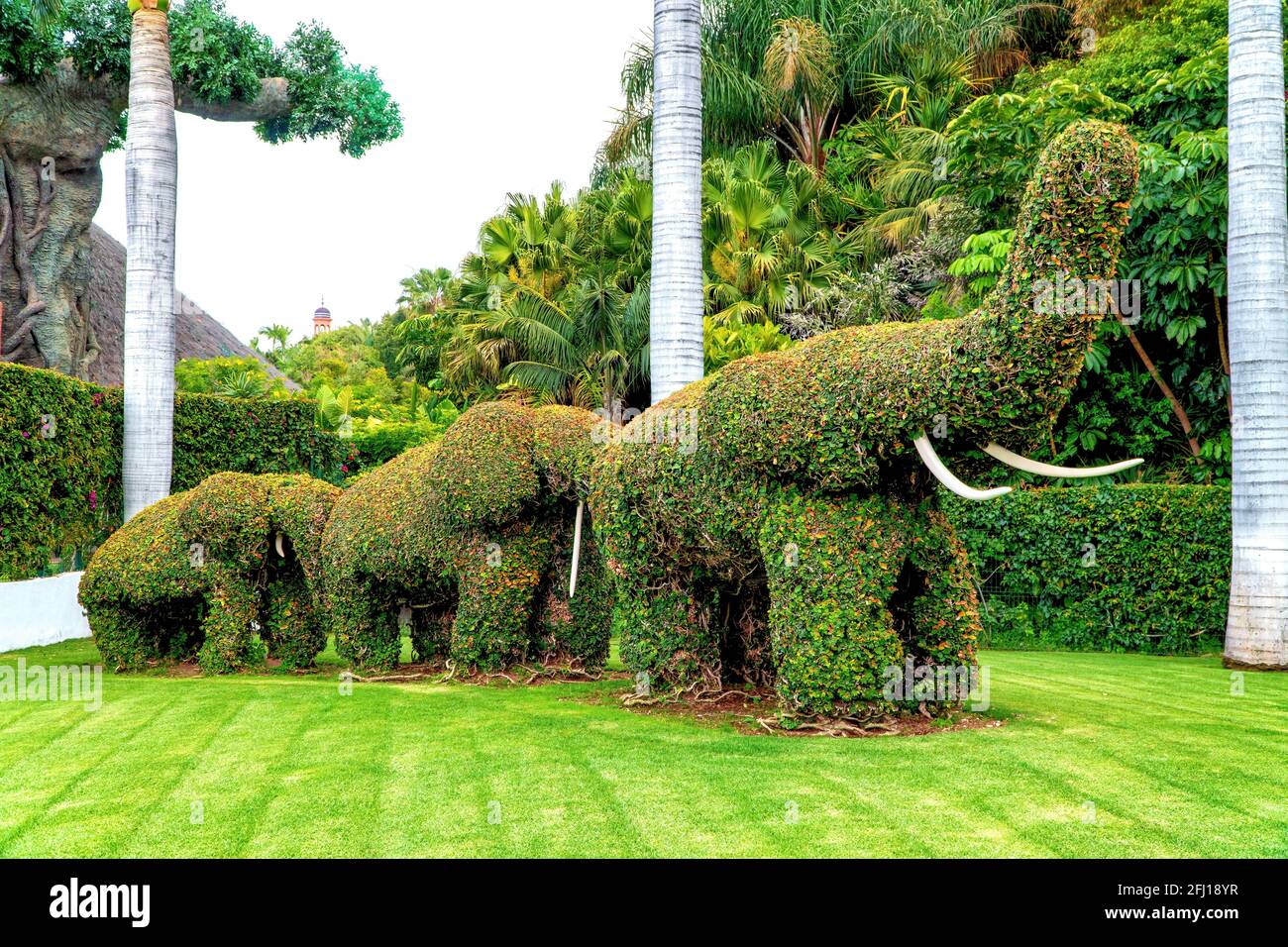 Green Elephants Garden Sculptures. Tenerife, Loro Parque entrance Stock ...