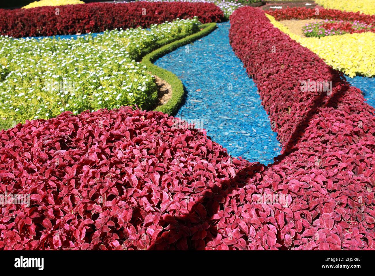 large plot of landscaping and flowers in the garden Stock Photo - Alamy