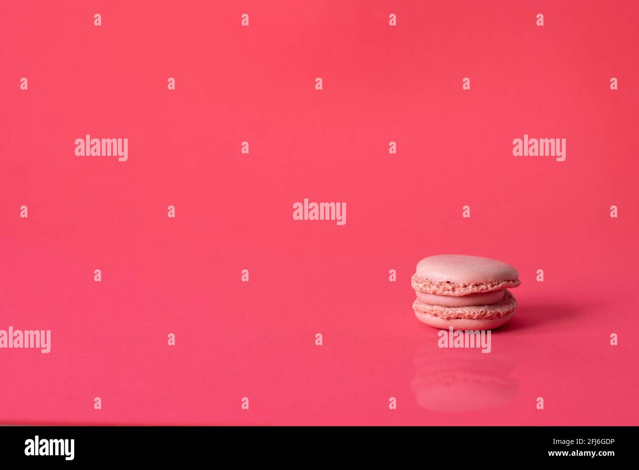 Pink French macaroni on one side on a pink background and its mirror ...