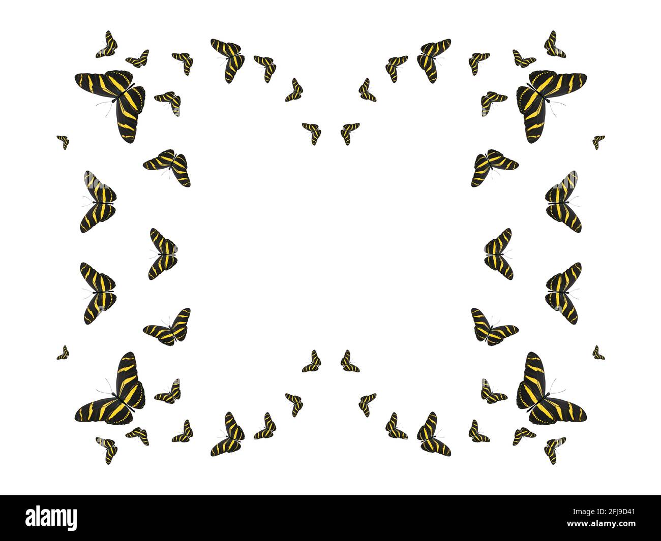 flock of flying butterflies isolated on white background. silhouette of ...