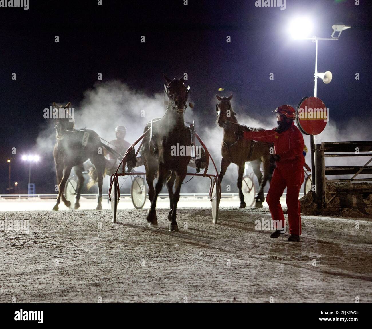 Trotting track hi-res stock photography and images - Alamy