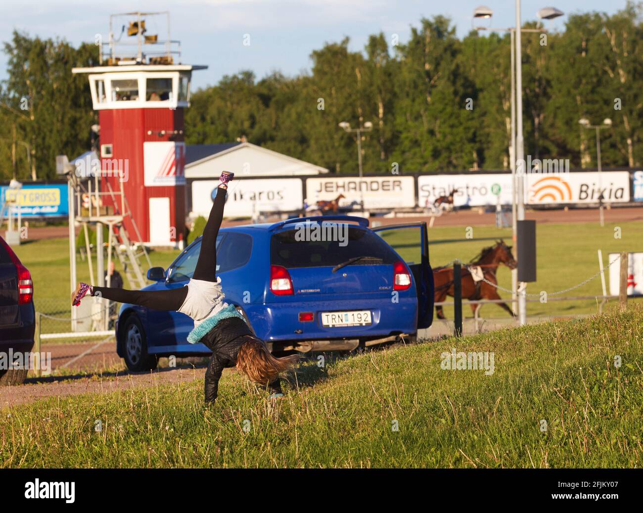 Trotting track hi-res stock photography and images - Alamy