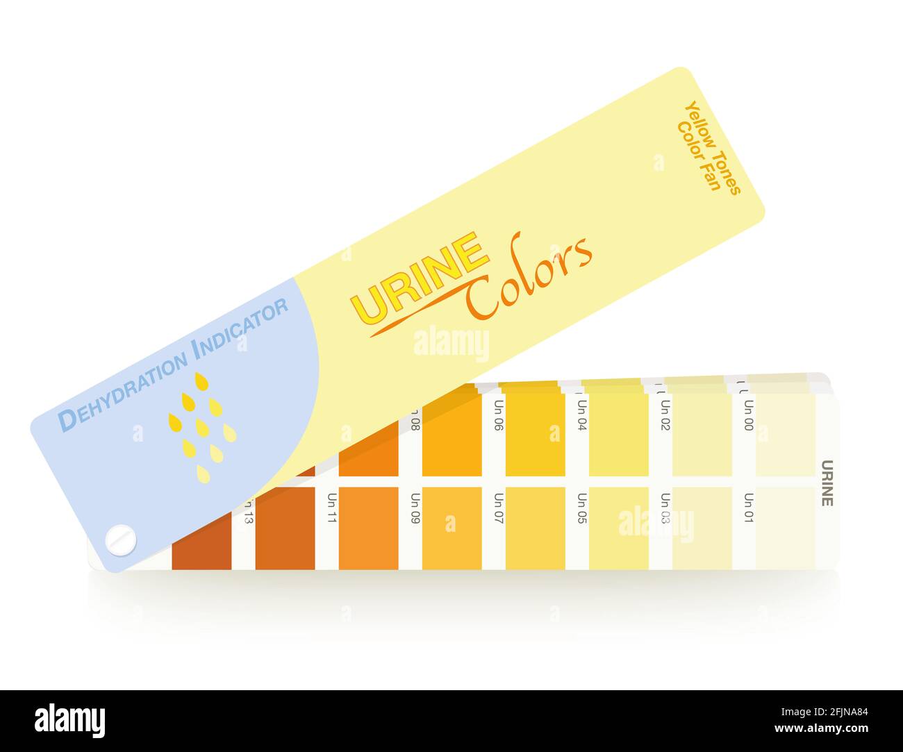 Urine colors. Color fan with index from clear urine to yellow and ...