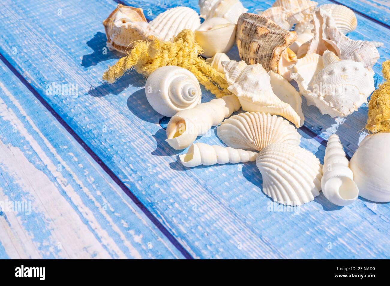 Sea shells and sailor rope on a blue wooden table as background. Summer ...