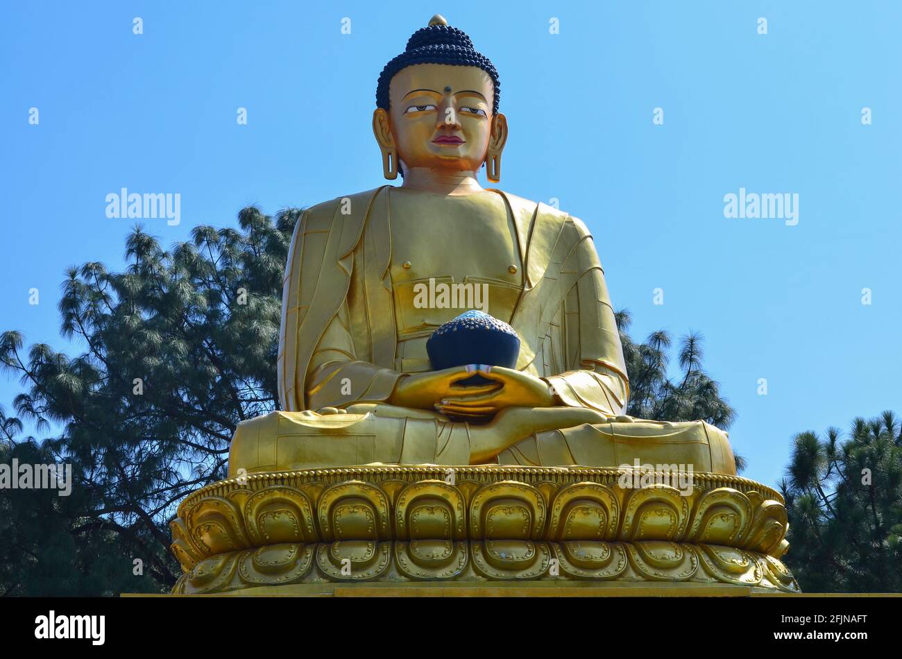 A vertical of the golden giant Buddha statue in the Amideva Buddha Park ...