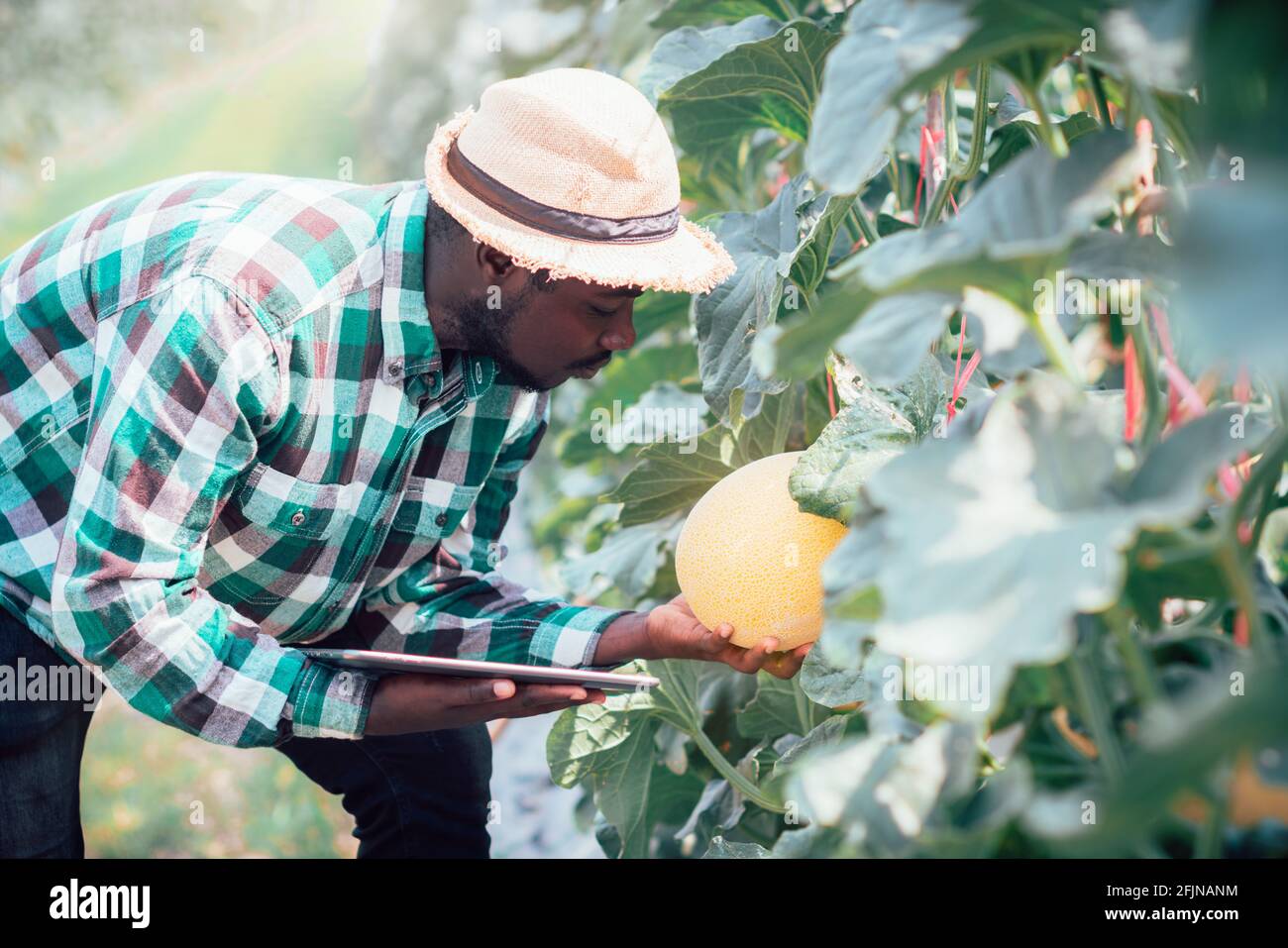 Smart farmer africa hi-res stock photography and images - Alamy