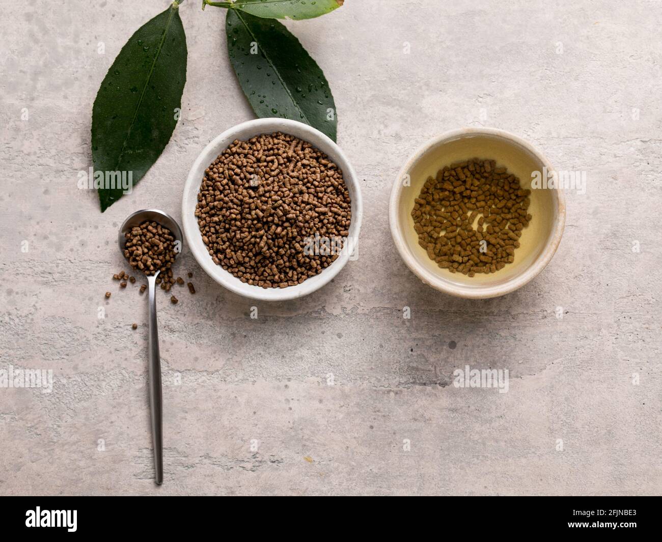 Top view of healthy soba tea and groats of tartary buckwheat Ku Qiao ...