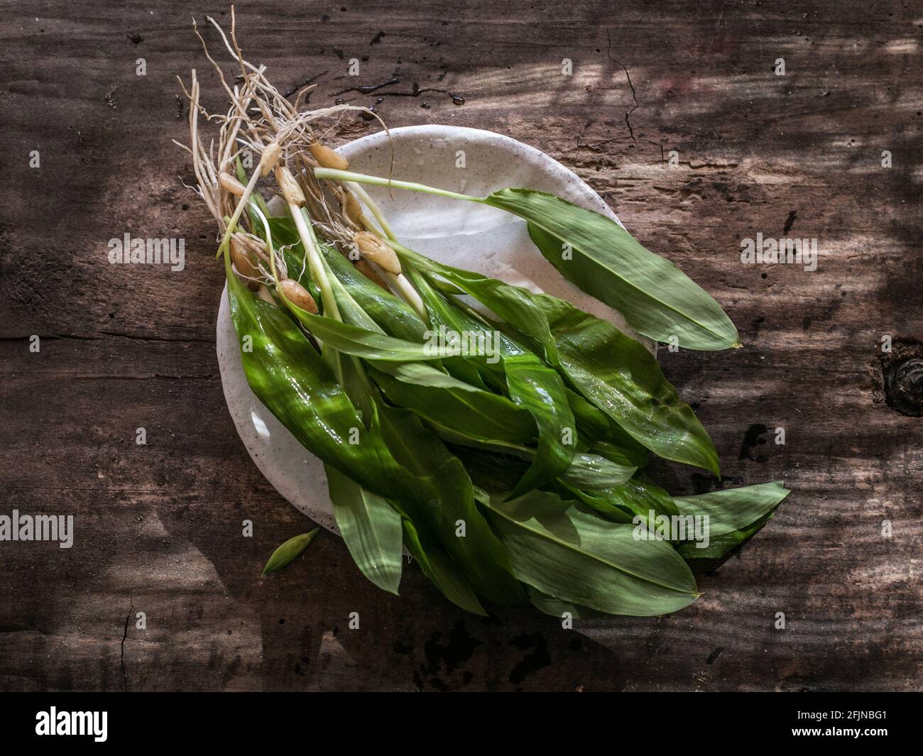 Ramps vegetable hi-res stock photography and images - Alamy