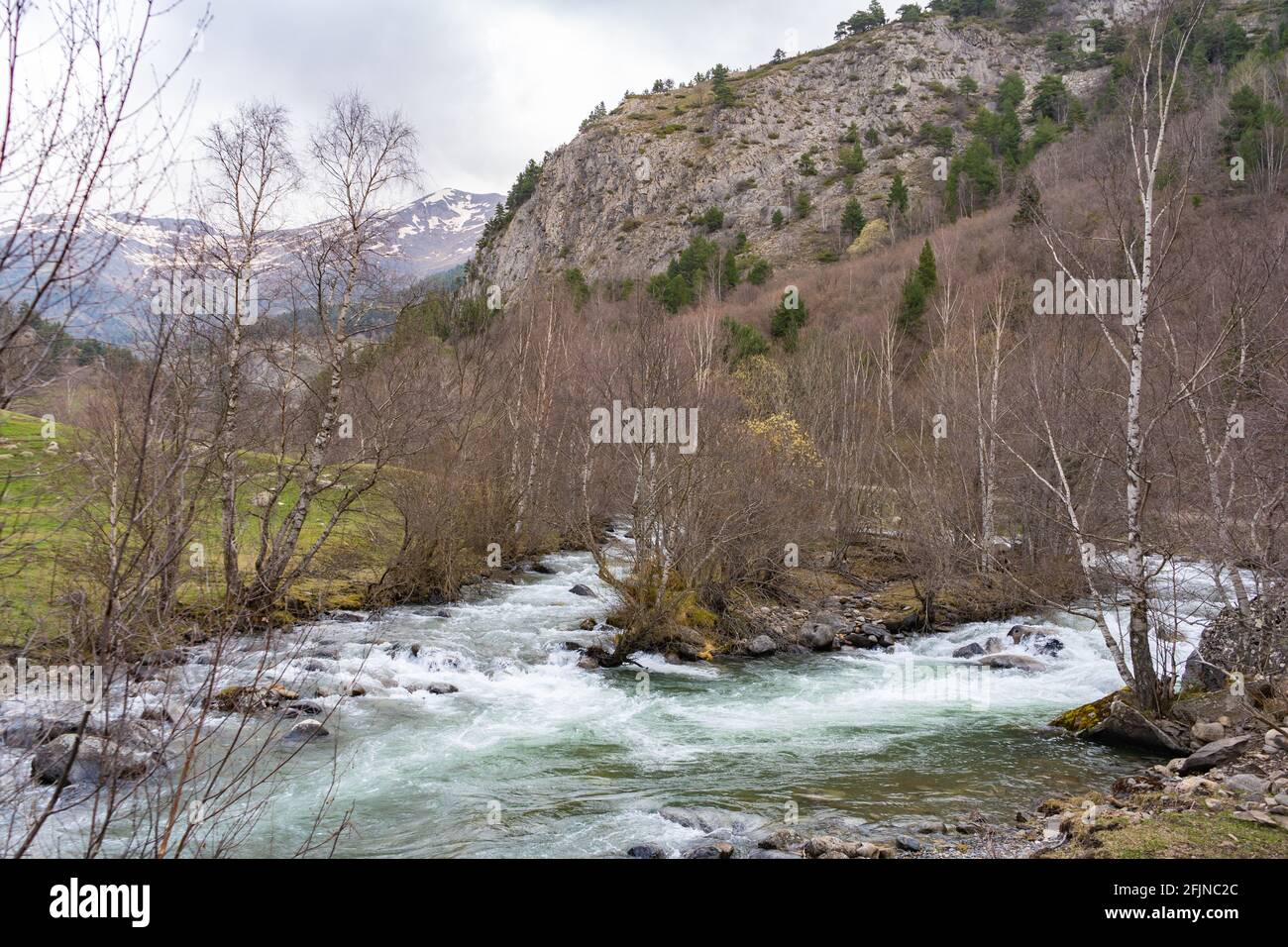 Beautiful mountain river landscape.Nature forest park background in ...