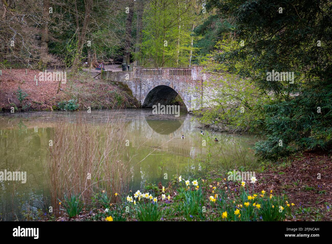 A landscape of a stone bridge spanning across a pond by the forest ...