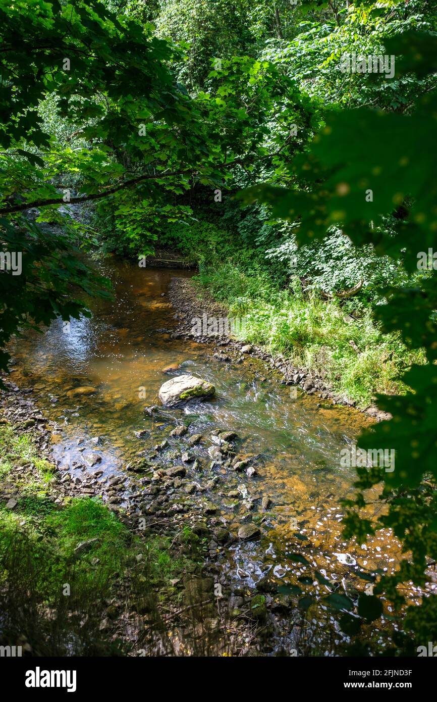 slow forest river in summer green woods with rocks in stream and small ...