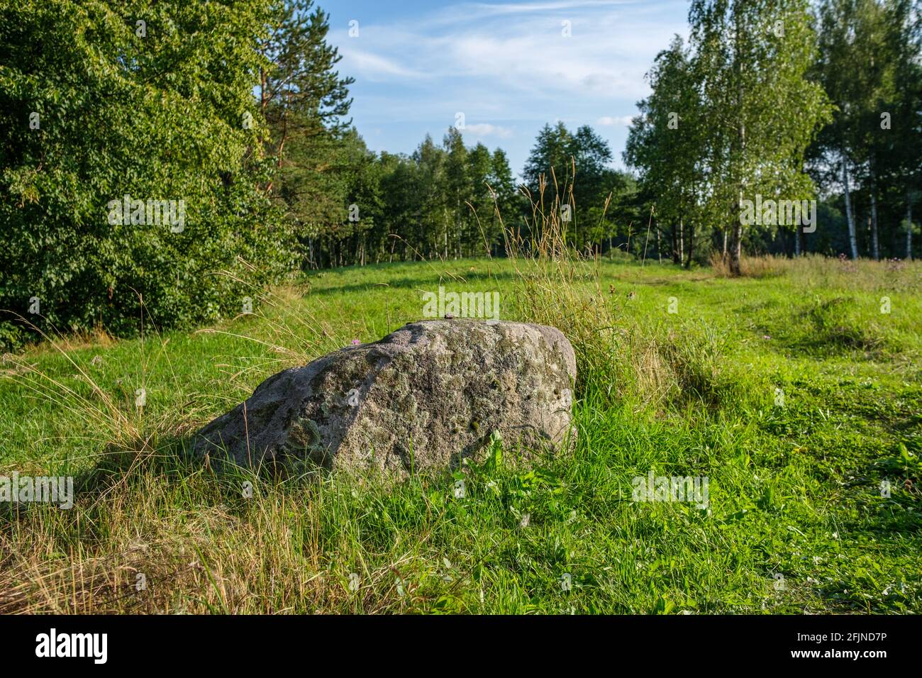 large stones in wild forest with moss and cracks from time Stock Photo ...