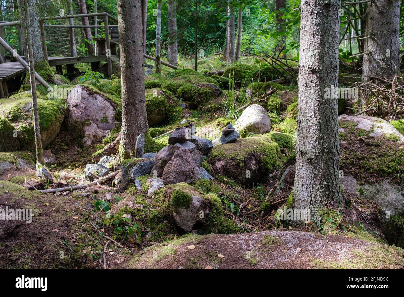large stones in wild forest with moss and cracks from time Stock Photo ...