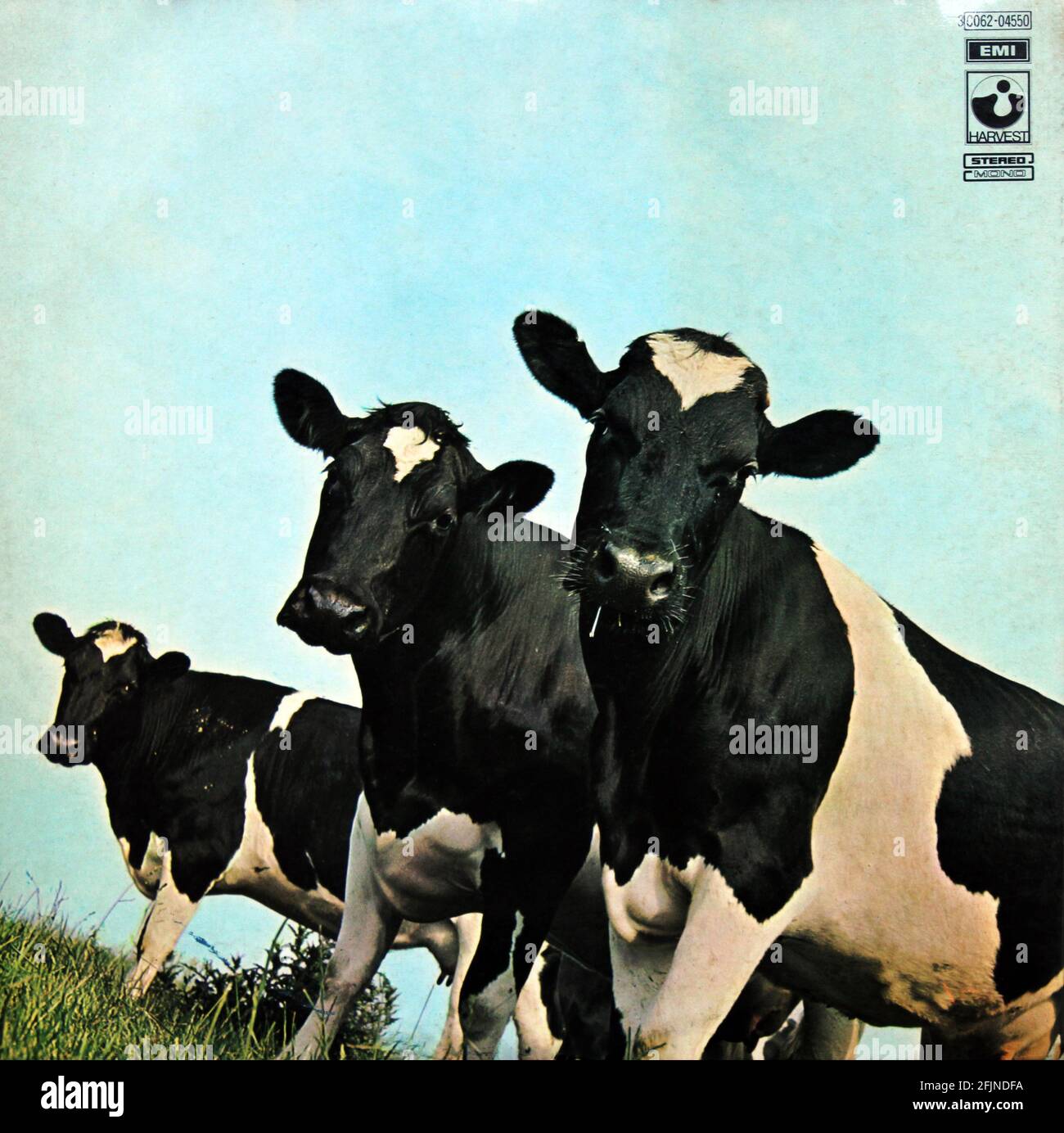 Atom Heart Mother Album Cover