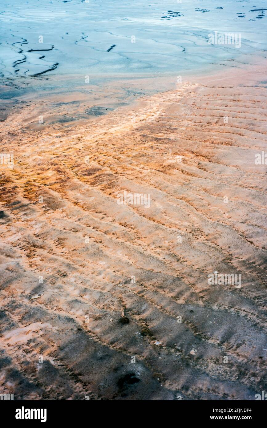 Rock pool ecosystem hi-res stock photography and images - Alamy