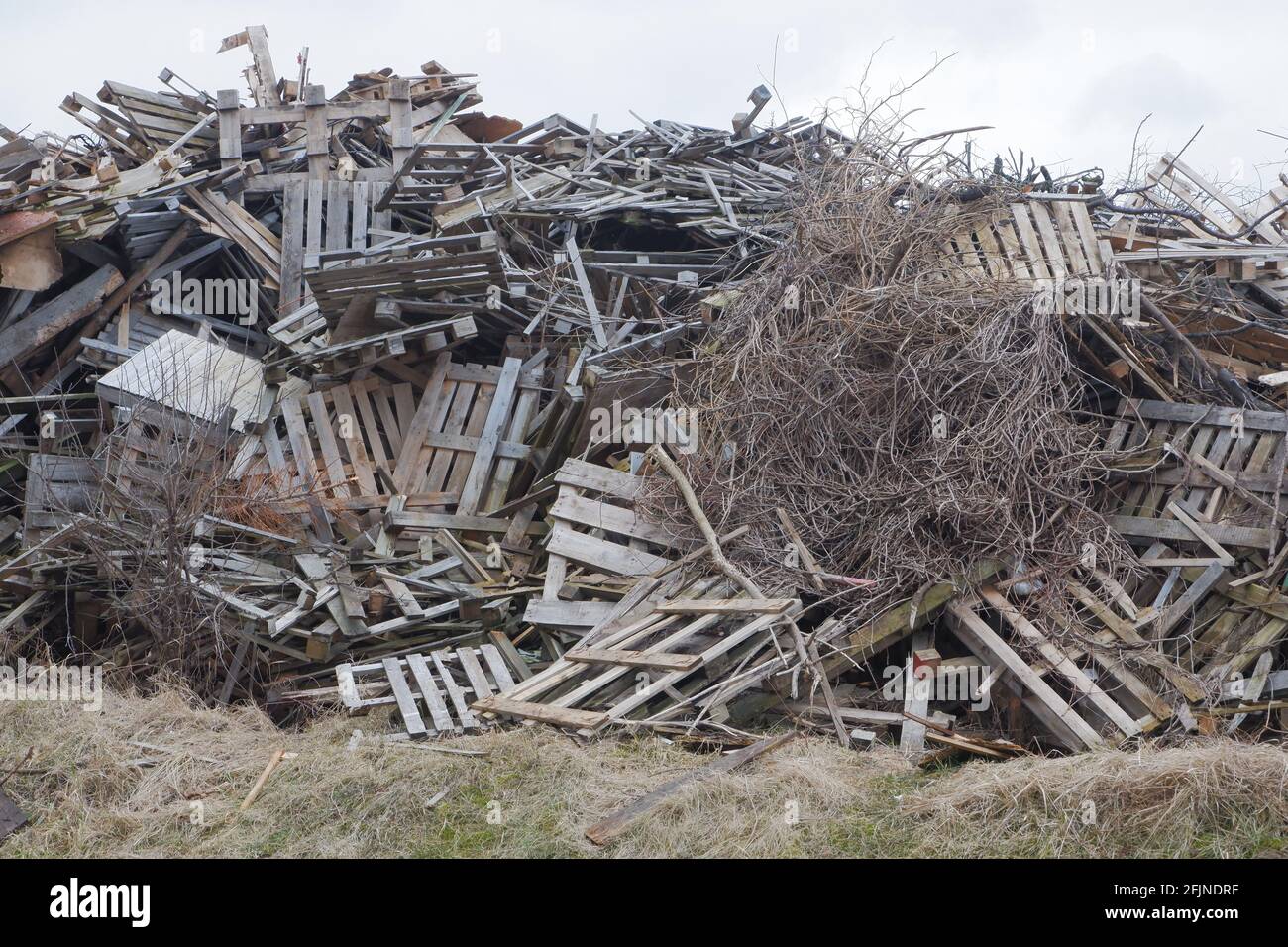 Woodworking waste dump. Environmental safety concept Stock Photo - Alamy
