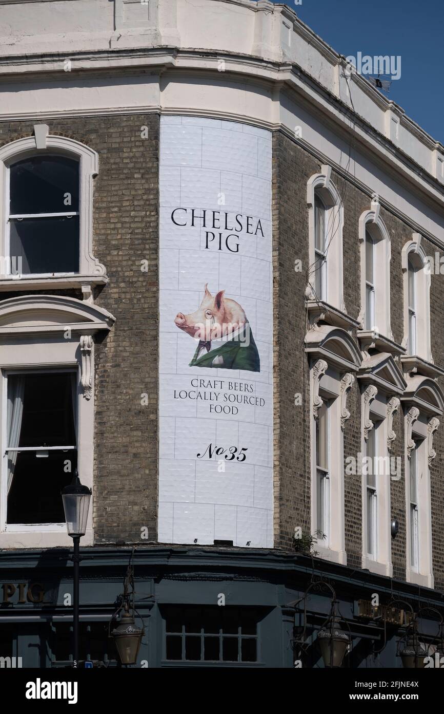 Chelsea Pig, Pub in Chelsea, London, United Kingdom Stock Photo - Alamy