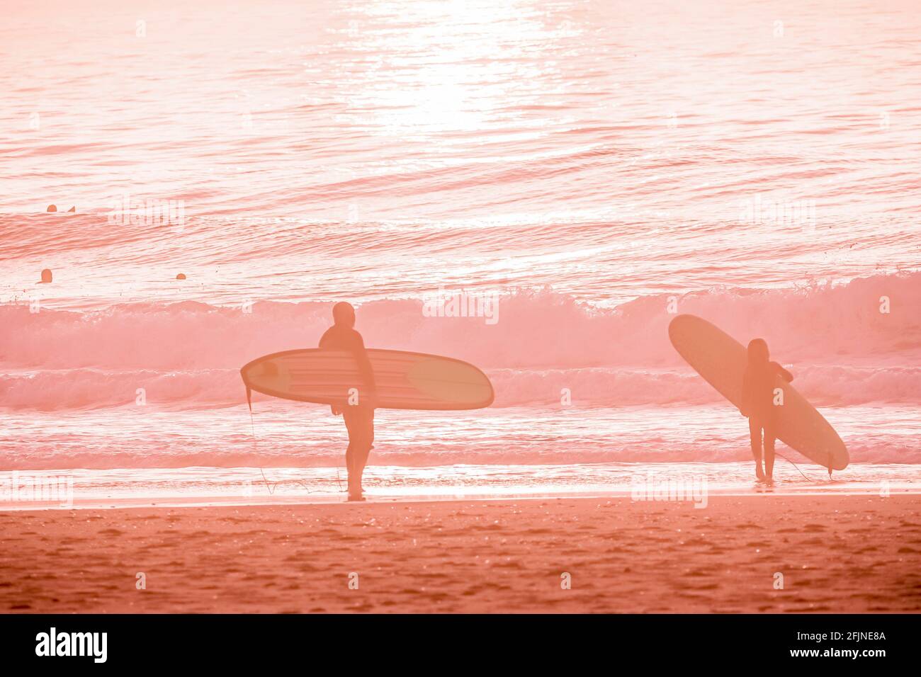 Pink Ocean Landscape in Sunset Time Background with Sandy Beach and ...