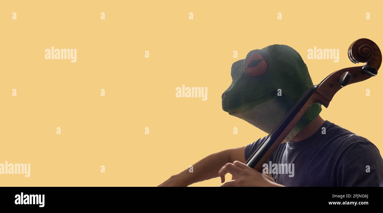 selective focus of a man with a frog mask playing the musical ...