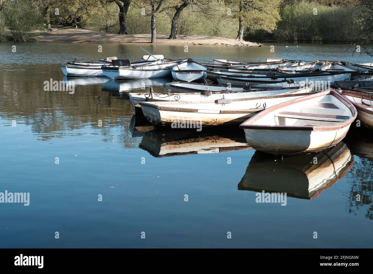 Hollow Ponds, Epping Forest, London, United Kingdom Stock Photo - Alamy