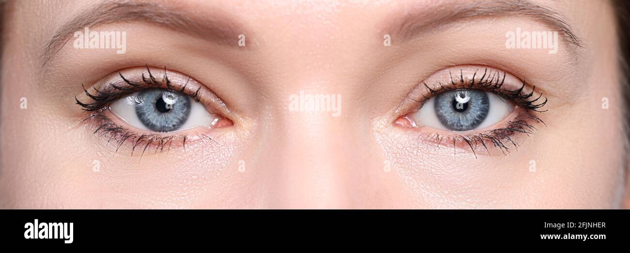 Pair Of Eyes Looking