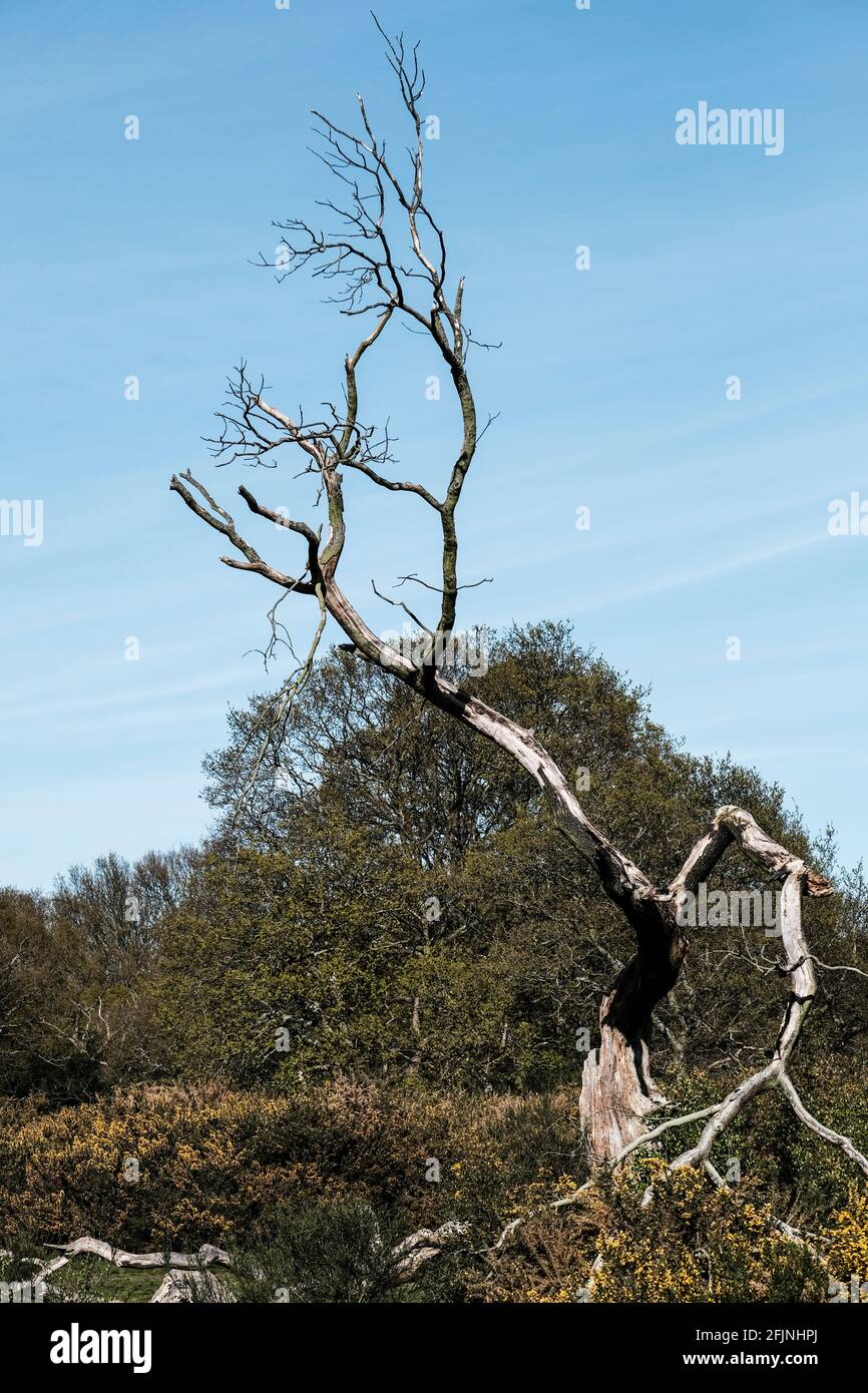 Hollow ponds boating hi-res stock photography and images - Alamy