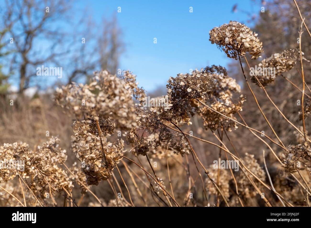 Spring in city overgrown hi-res stock photography and images - Alamy