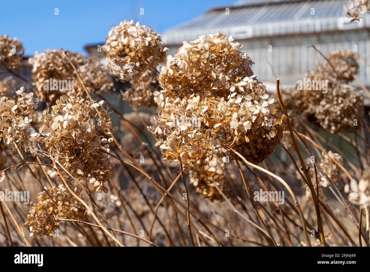 Spring in city overgrown hi-res stock photography and images - Alamy