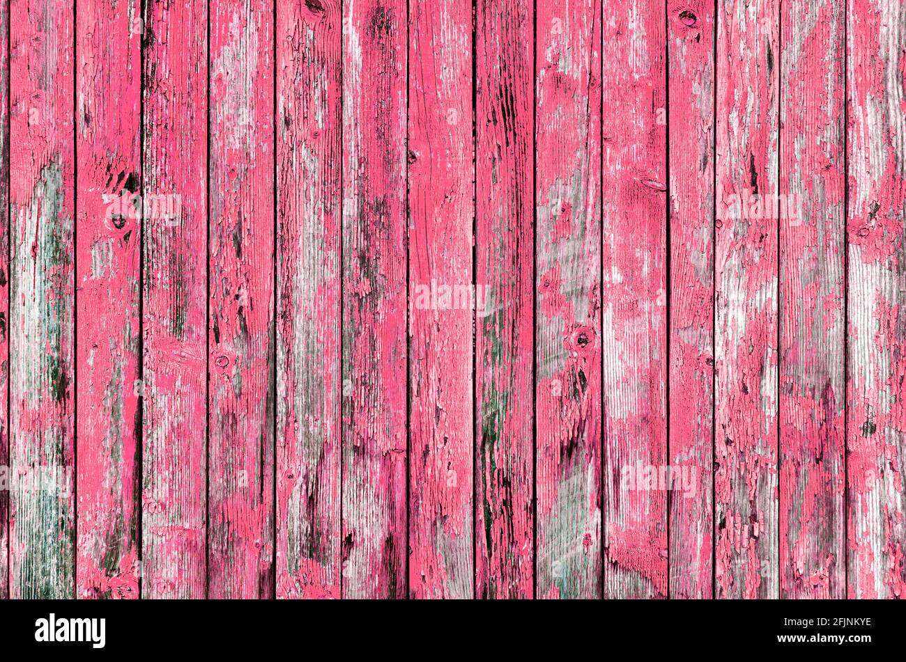 pink wood plank with peeled paint, rough and weathered wood surface ...