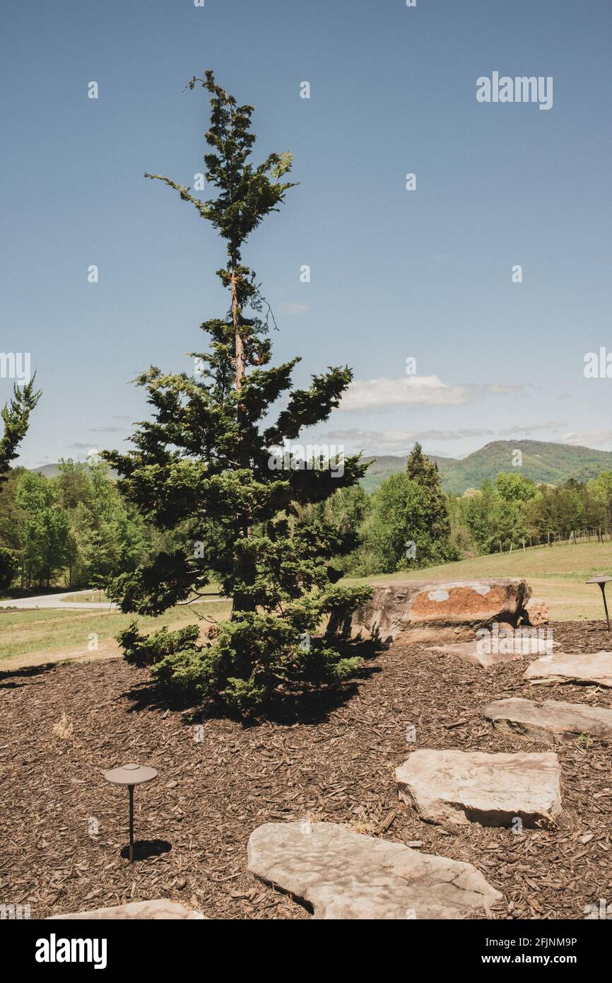Upstate rural area sc hi-res stock photography and images - Alamy
