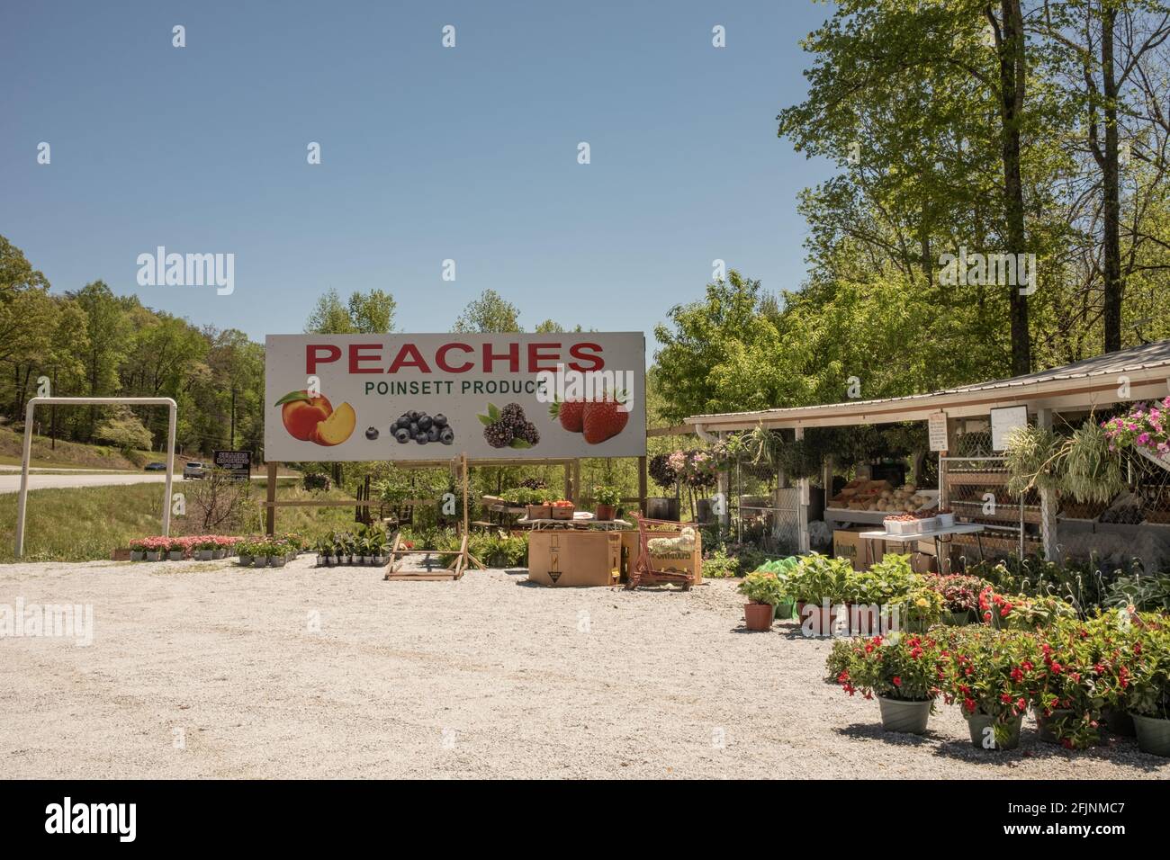Country roadside produce stand sc hi-res stock photography and images ...