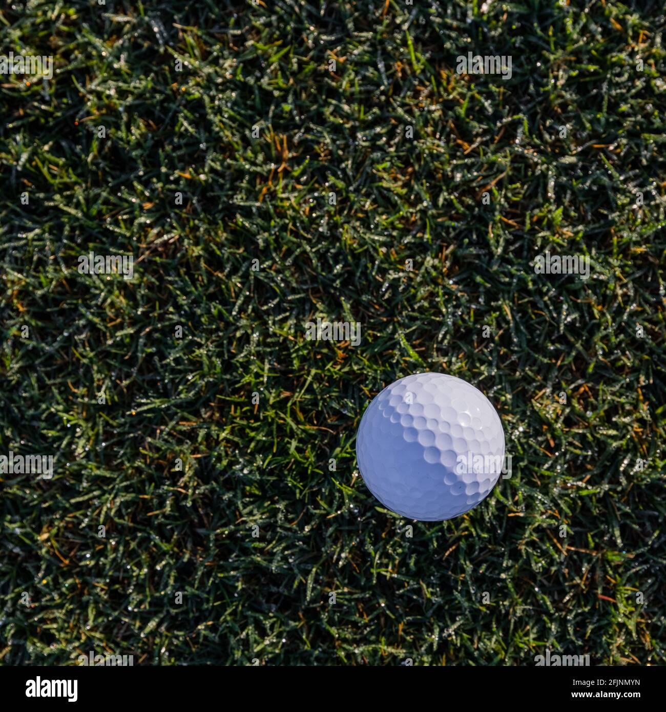 A top view of golf ball balancing on tee Stock Photo - Alamy