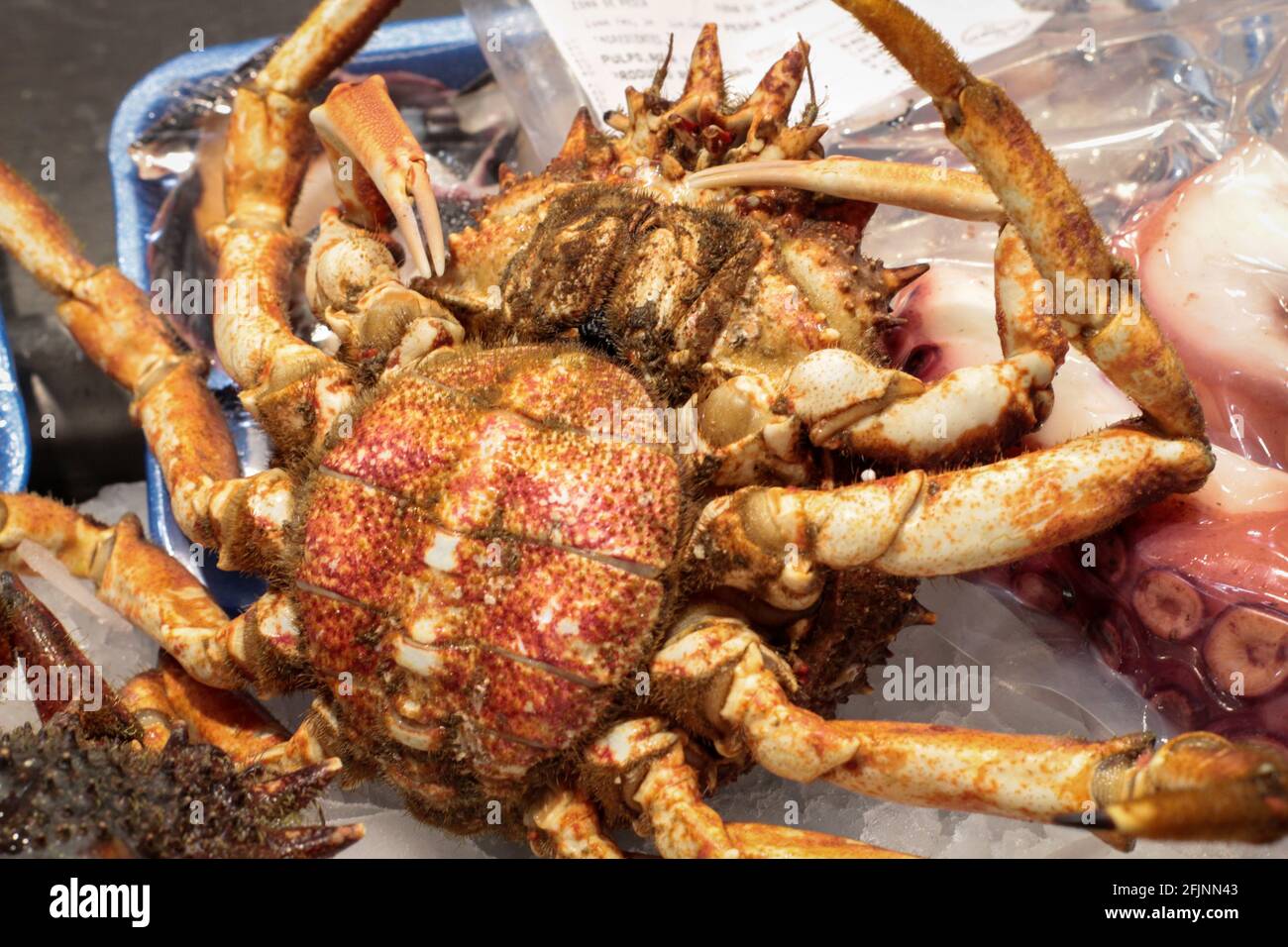 Fishmonger counter hi-res stock photography and images - Alamy